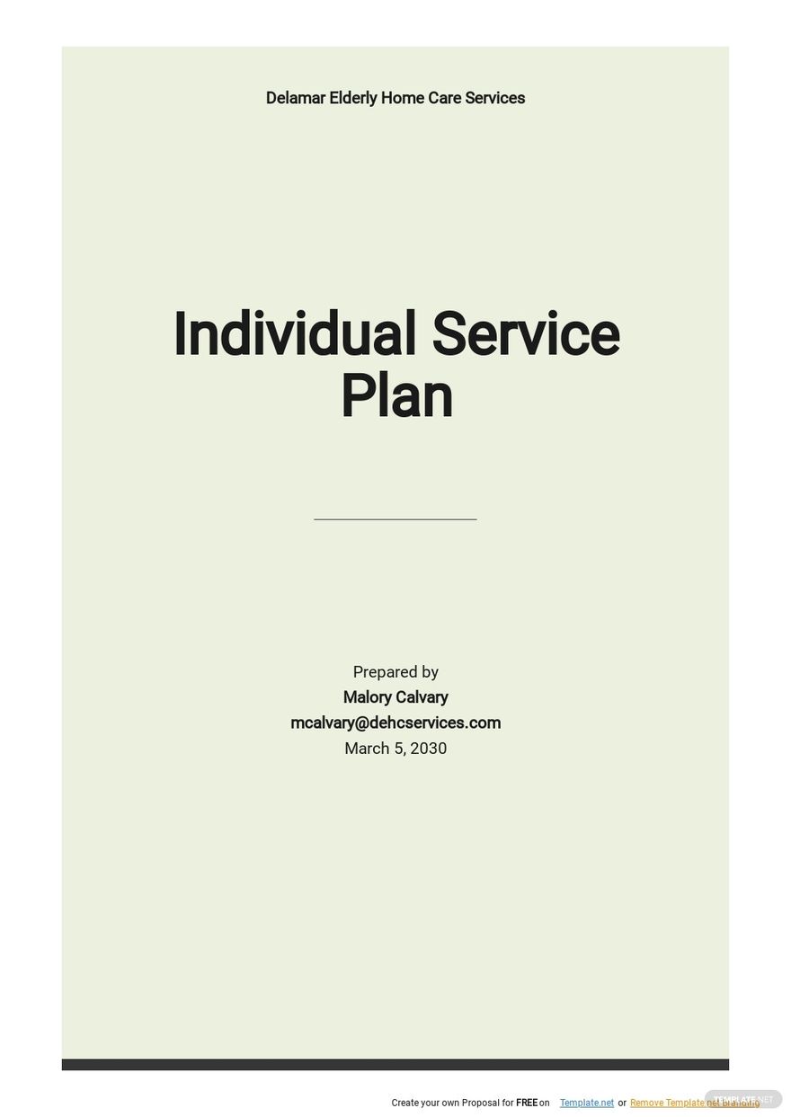 Individual Development Plan Template For Employees - Google Docs, Word ...