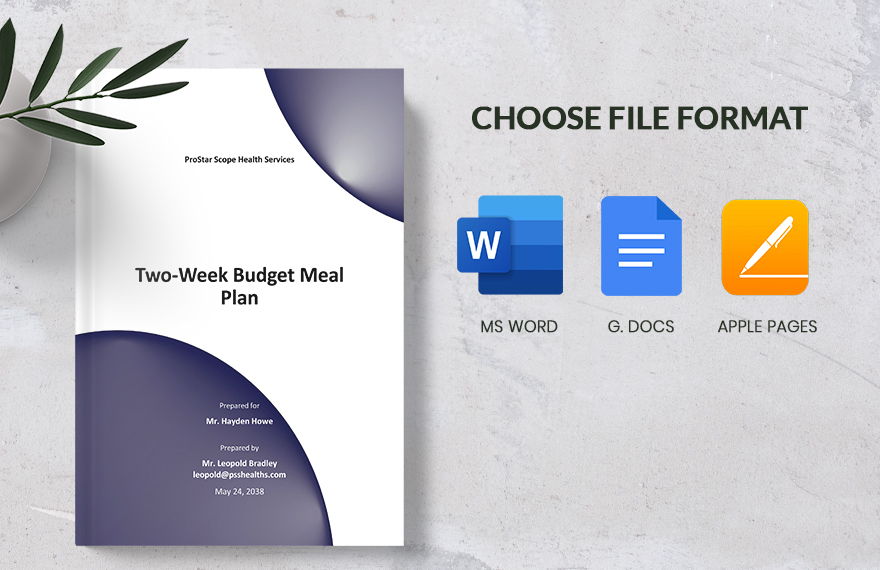 Two Week Budget Meal Plan Template Google Docs Word Apple Pages 