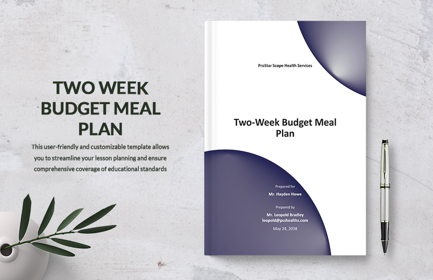 FREE Meal Plan Word Template Download Template