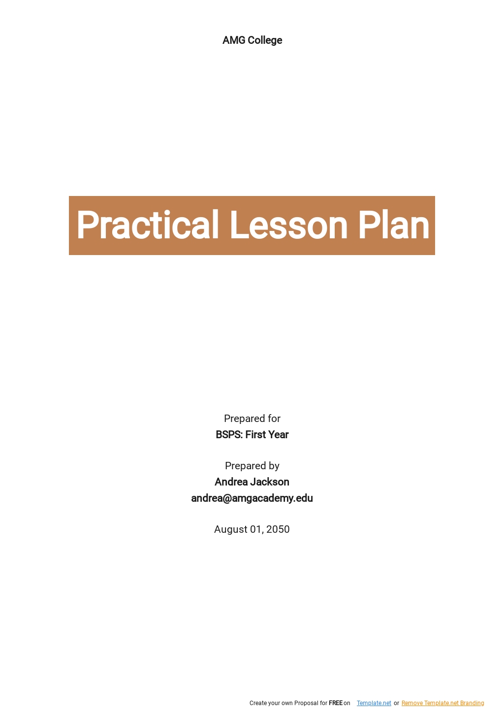 FREE Practical Lesson Plan Template In Google Docs Template
