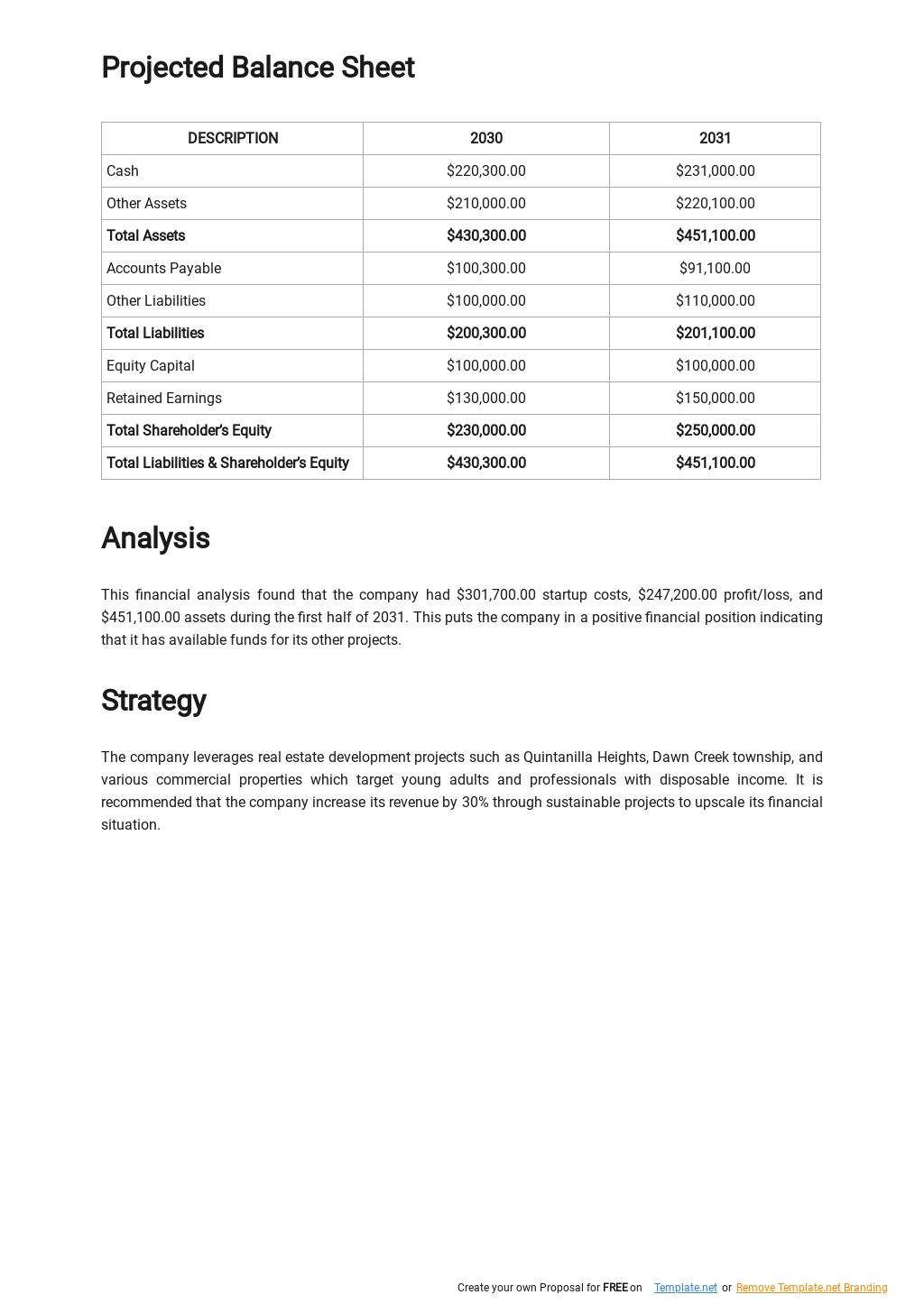 FREE Sample Project Financial Plan Template in Google Docs, Word ...