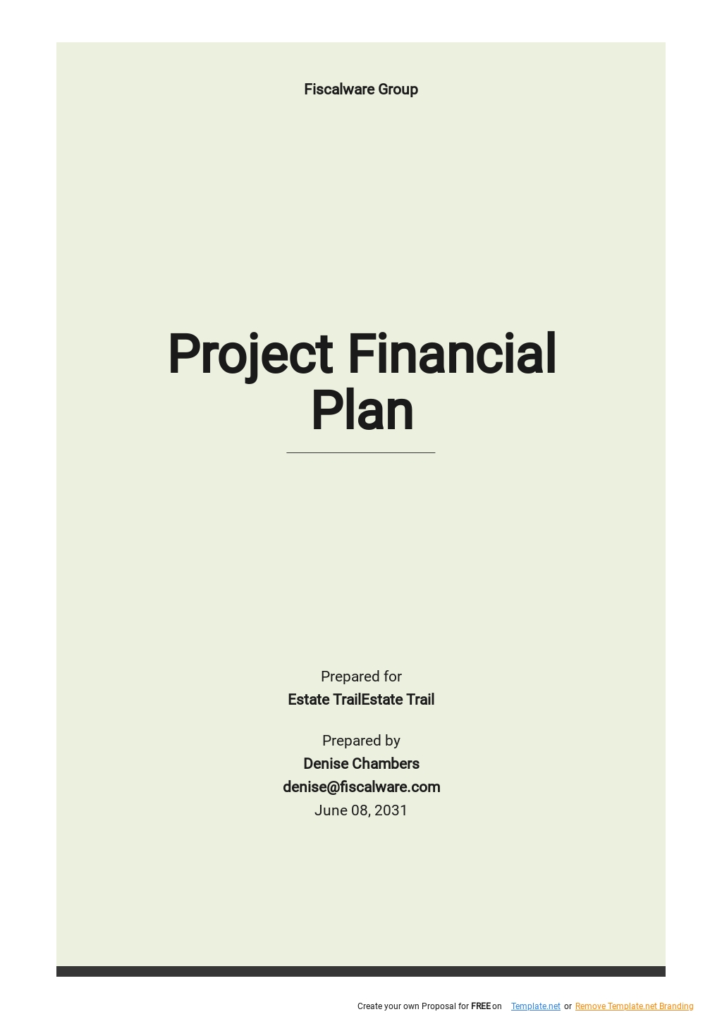 Free Sample Project Financial Plan Template Google Docs Word Apple 