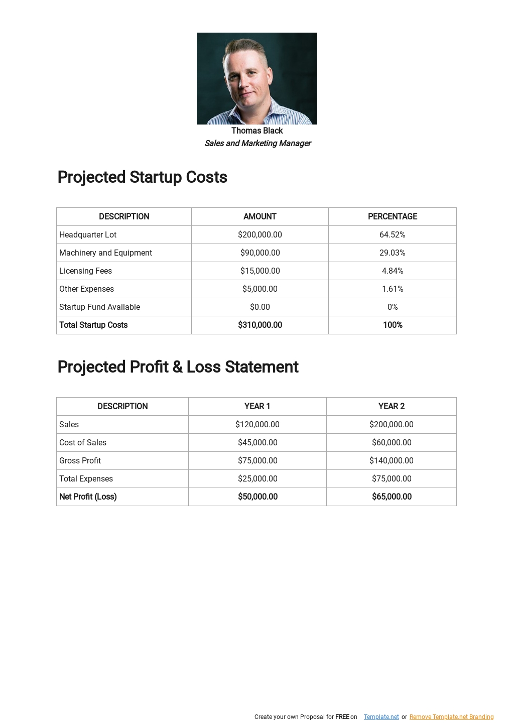 Simple Annual Department Plan Template Free PDF Template Simple Annual Department Plan Template Free PDF Template