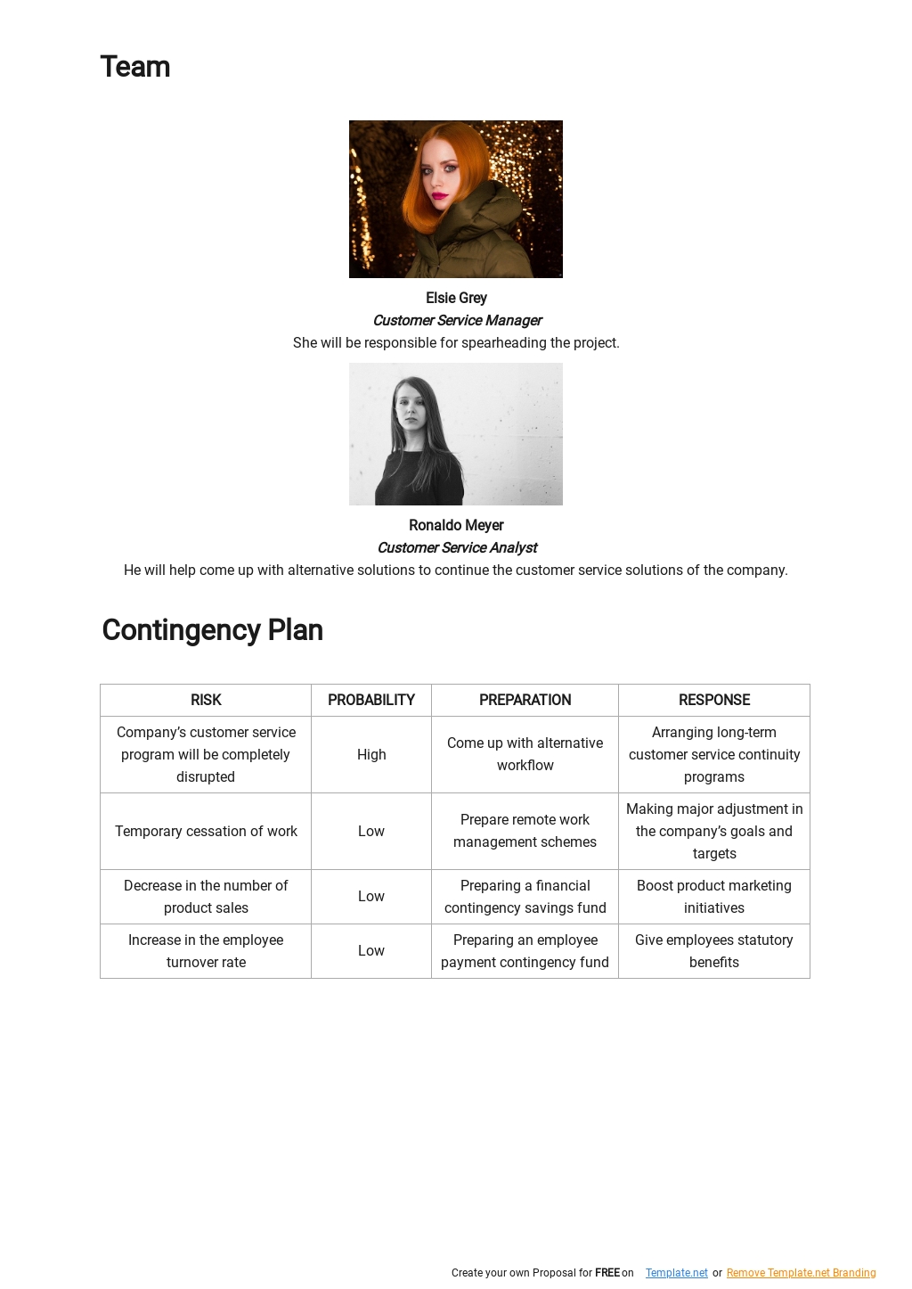Customer Service Continuity Plan Template [Free PDF] - Google Docs ...