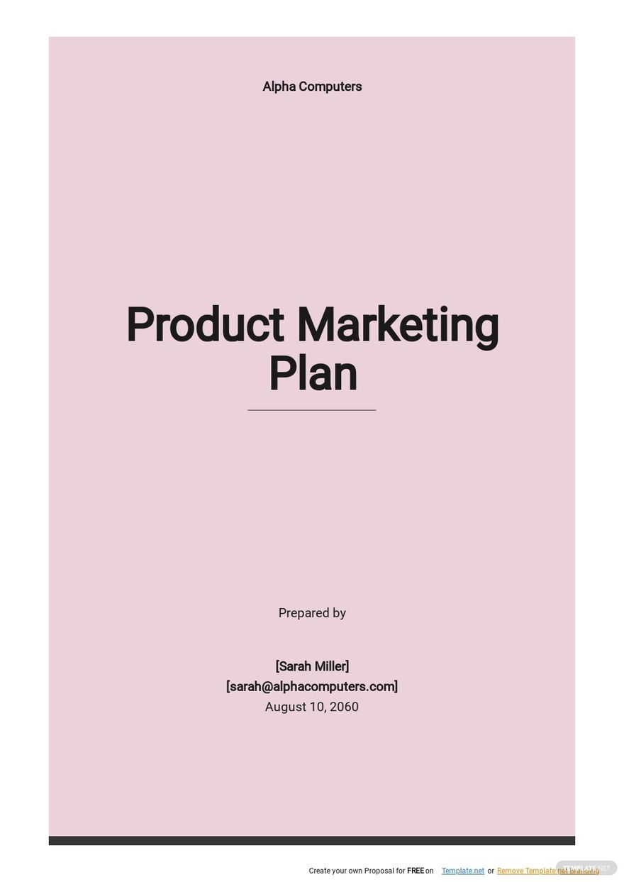 Product Marketing Plan Template Free PDF Template