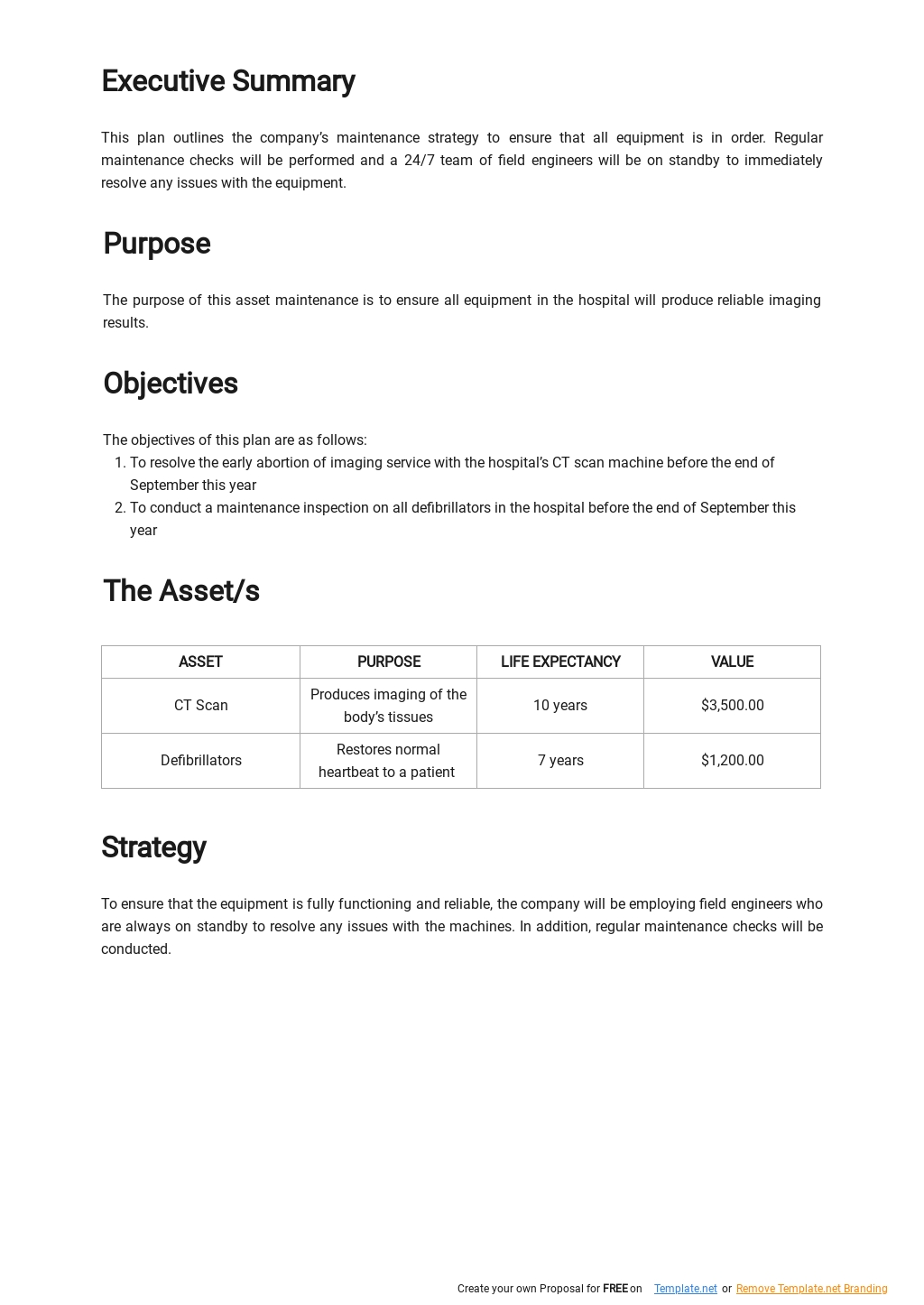 Asset Management Maintenance Plan Template - Google Docs, Word ...