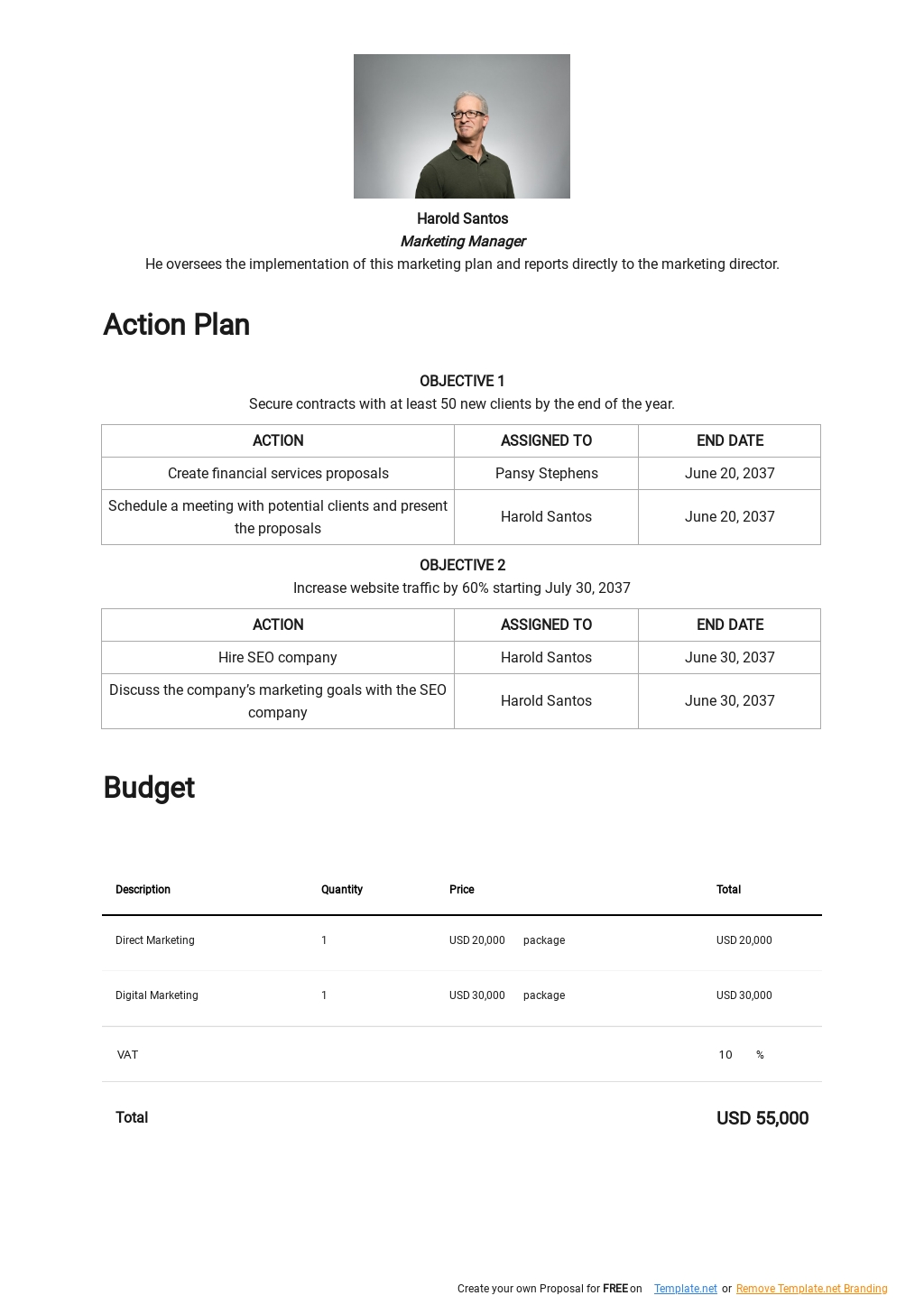 Financial Services Marketing Plan Template Free PDF Google Docs financial-services-marketing-plan-template-free-pdf-google-docs