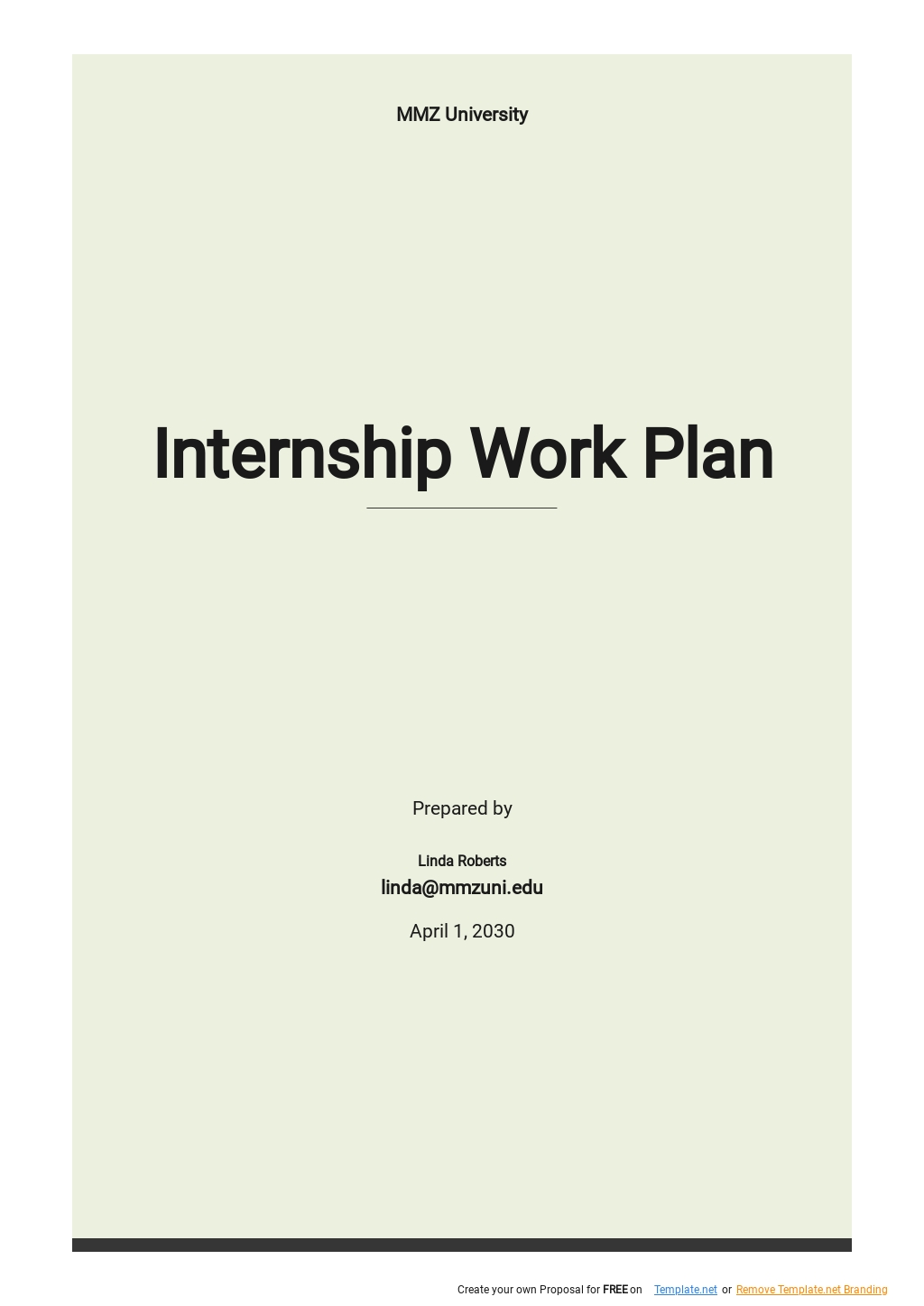 Internship Work Plan Template Google Docs Word Apple Pages PDF 