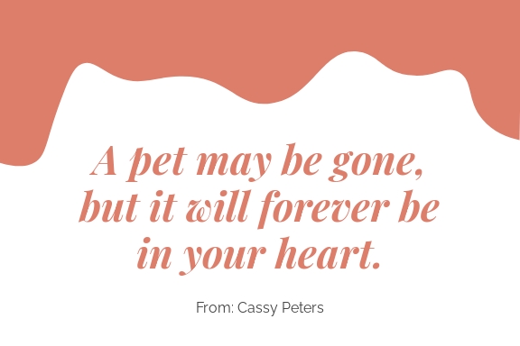 FREE Modern Loss of Pet Card Template - Illustrator, Word, PSD, PDF ...