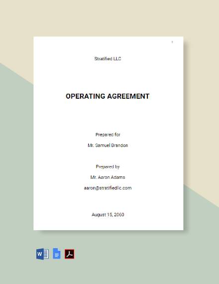 Free Blank Operating Agreement For Corporation Template - Google Docs ...