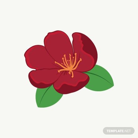 Free Burgundy Floral Vector - EPS, Illustrator, JPG, PNG, SVG ...