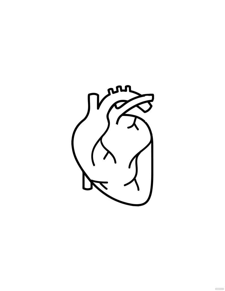 Free Human Heart Drawing For Kids Download In PDF 56 OFF