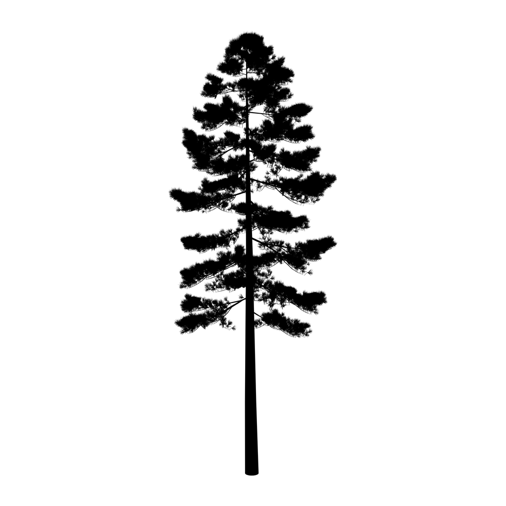 Free Cartoon Pine Tree Silhouette - EPS, Illustrator, JPG, PSD, PNG ...