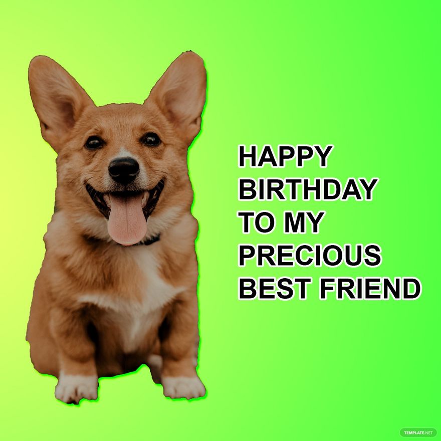 Free Funny Happy Birthday Best Friend Meme Download In Illustrator 