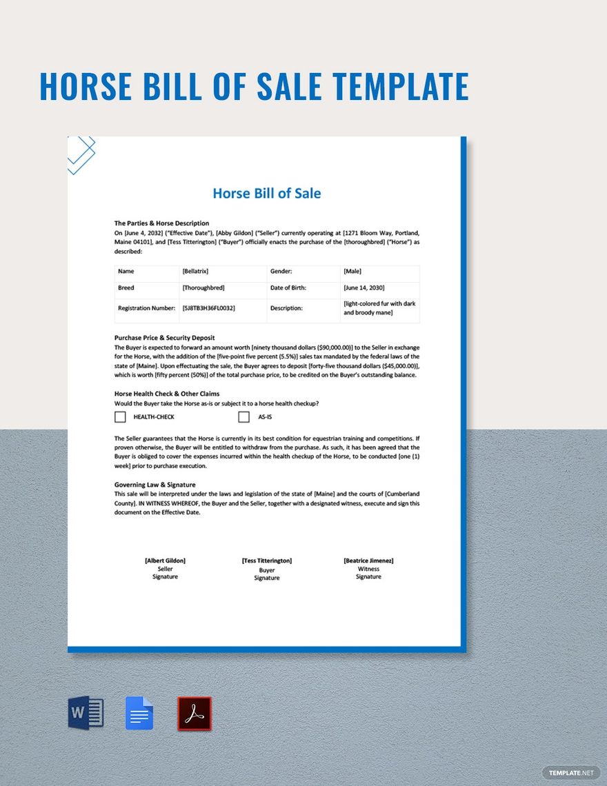 Horse Bill Of Sale Template Google Docs Word PDF Template