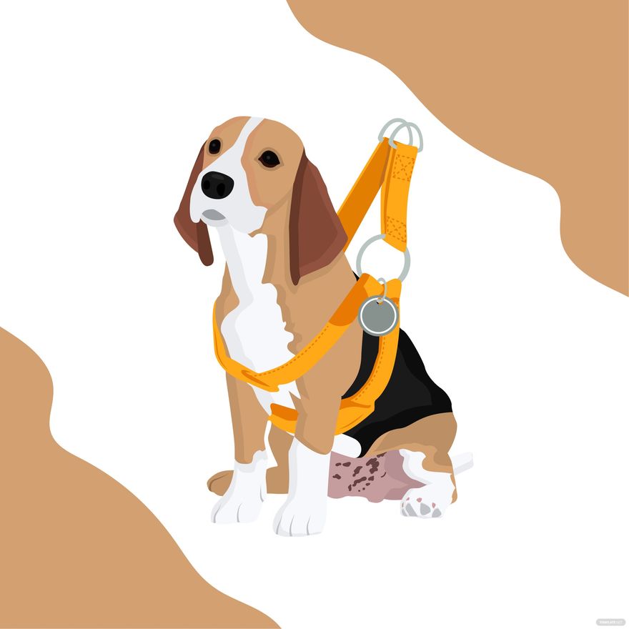 Free Dog Harness Vector Download In Illustrator EPS SVG JPG PNG 