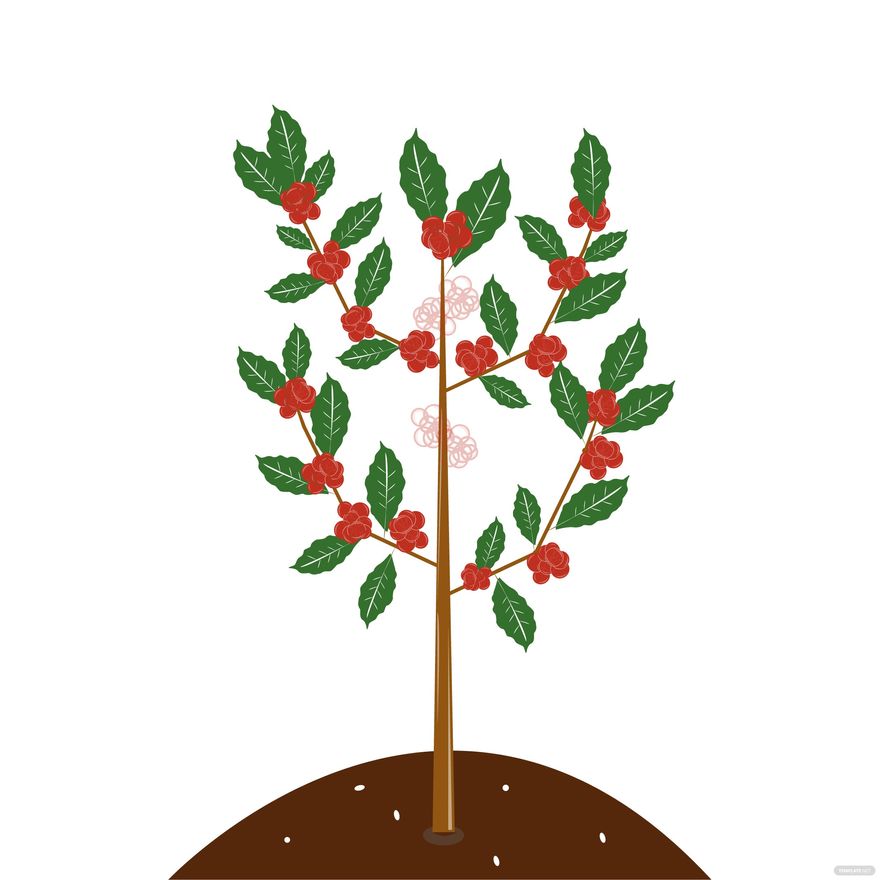Free Coffee Tree Vector - EPS, Illustrator, JPG, PNG, SVG | Template.net