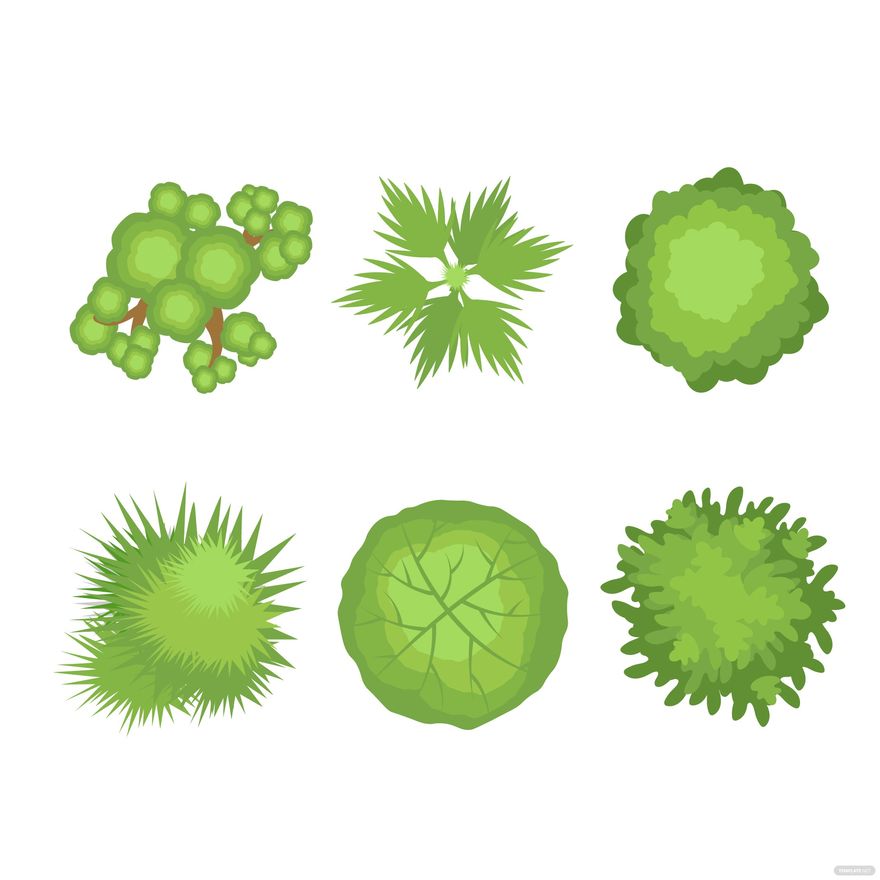 Free Tree Plan Vector - EPS, Illustrator, JPG, PNG, SVG | Template.net