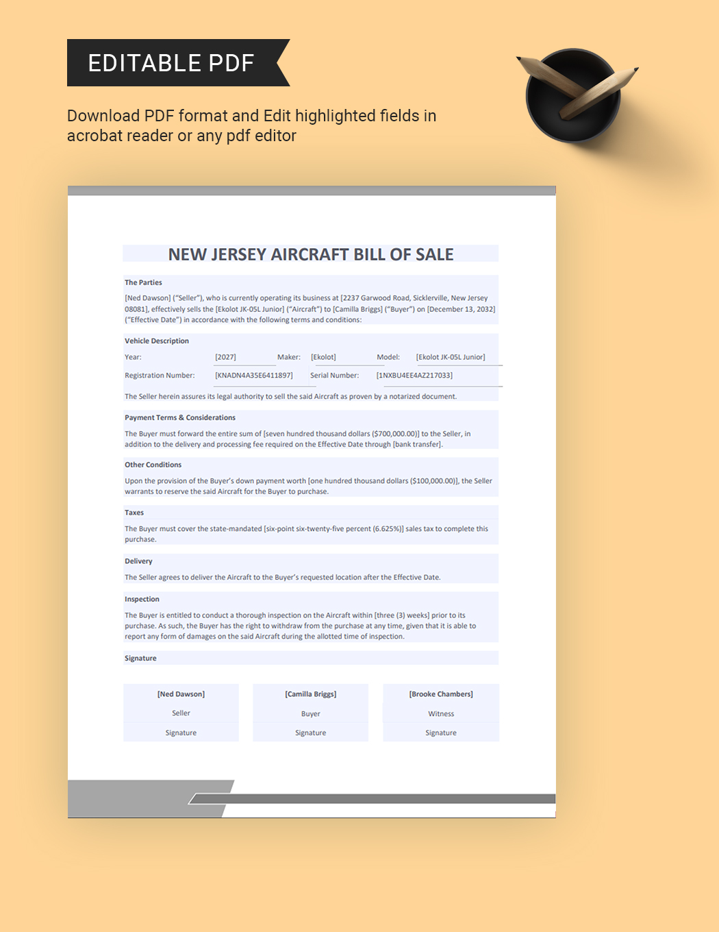 New Jersey Aircraft/Airplane Bill of Sale Template - Google Docs, Word ...