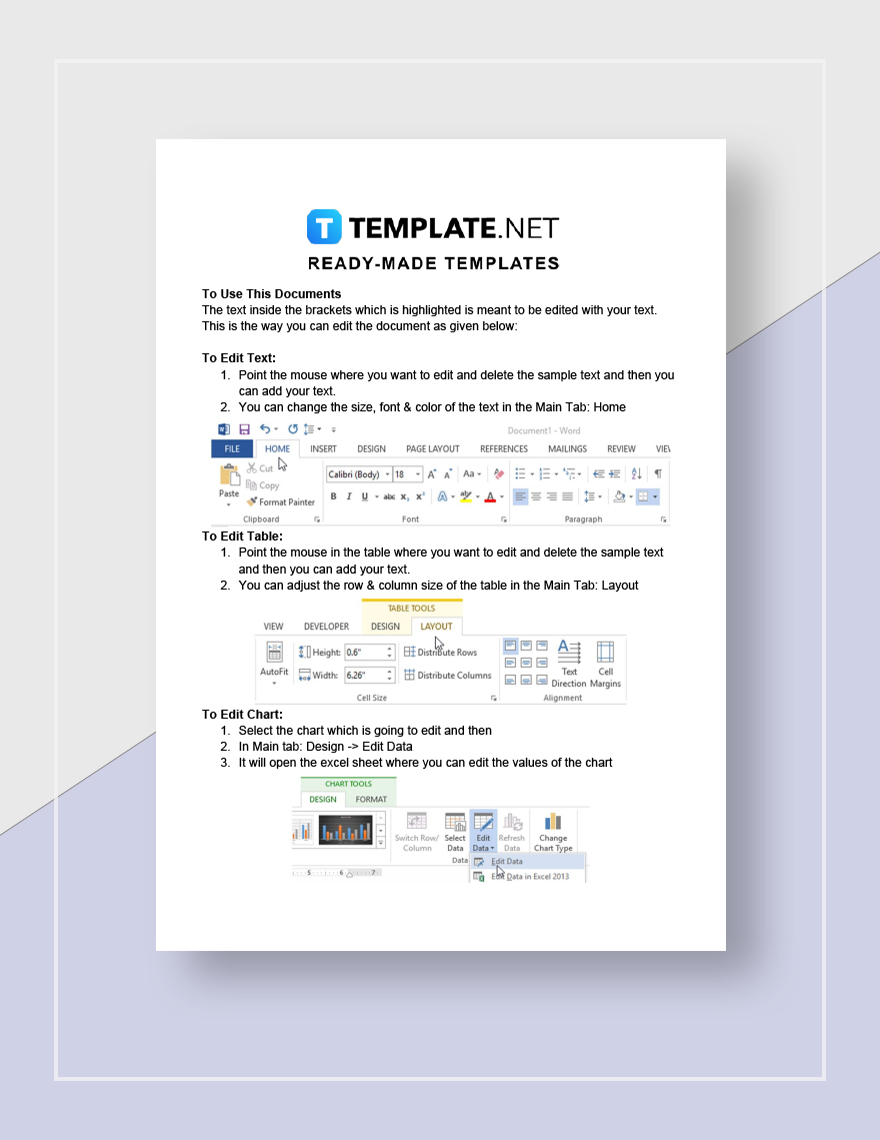 Travel And Expense Policy Template Google Docs Word PDF Template
