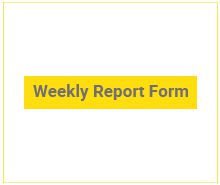 Team Weekly Status Report Template in Microsoft Word | Template.net