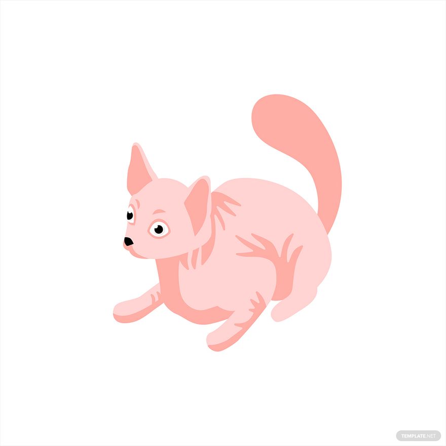 Cute Cat Vector Png
