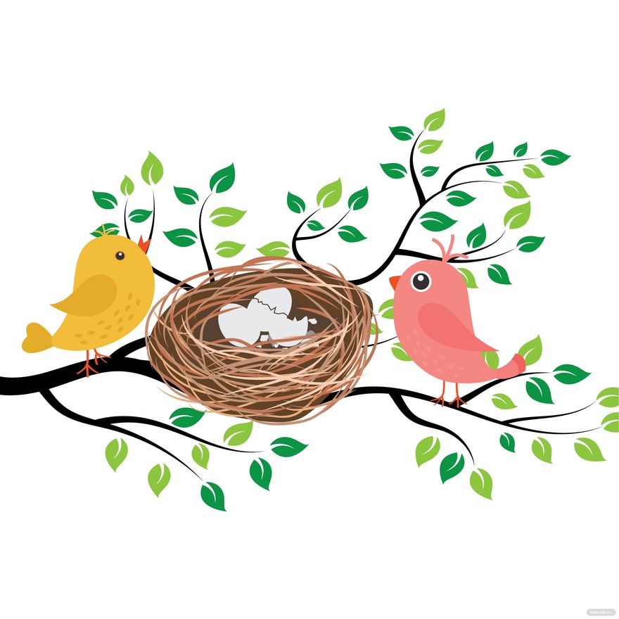 Free Bird Nest Vector EPS Illustrator JPG PNG SVG Template