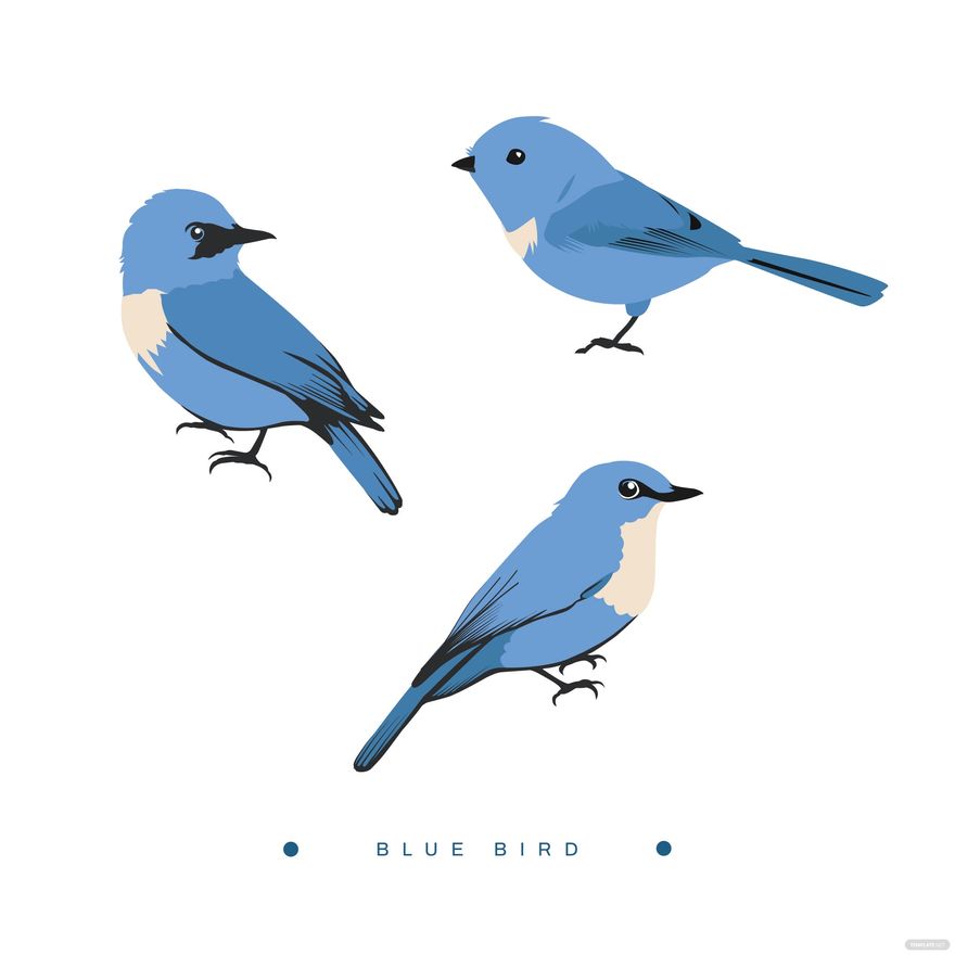 Free Blue Bird Vector - EPS, Illustrator, JPG, PNG, SVG | Template.net