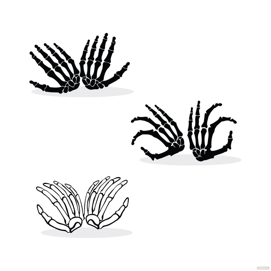 Free Skeleton Hand Vector - EPS, Illustrator, JPG, PNG, SVG | Template.net
