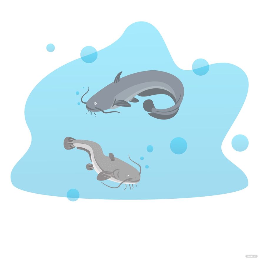 Free Catfish Vector - EPS, Illustrator, JPG, PNG, SVG | Template.net