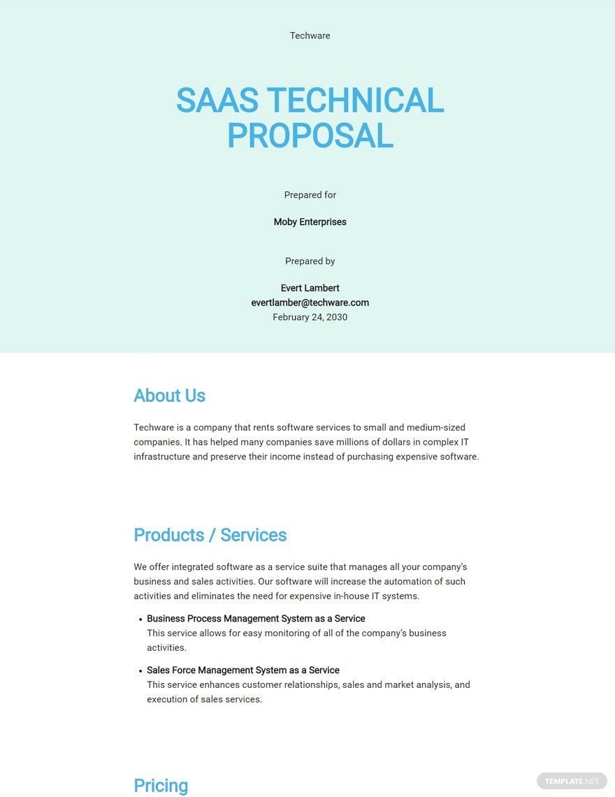 Technical Proposal Template Google Docs Word Apple Pages PDF 