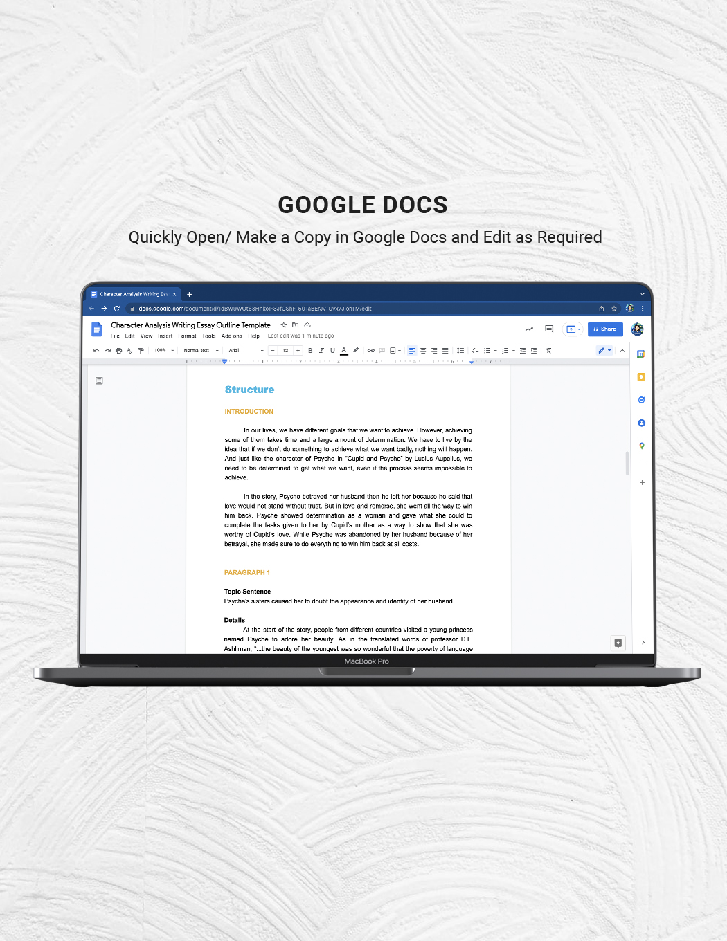 Character Analysis Writing Essay Outline Template Google Docs Word PDF Template