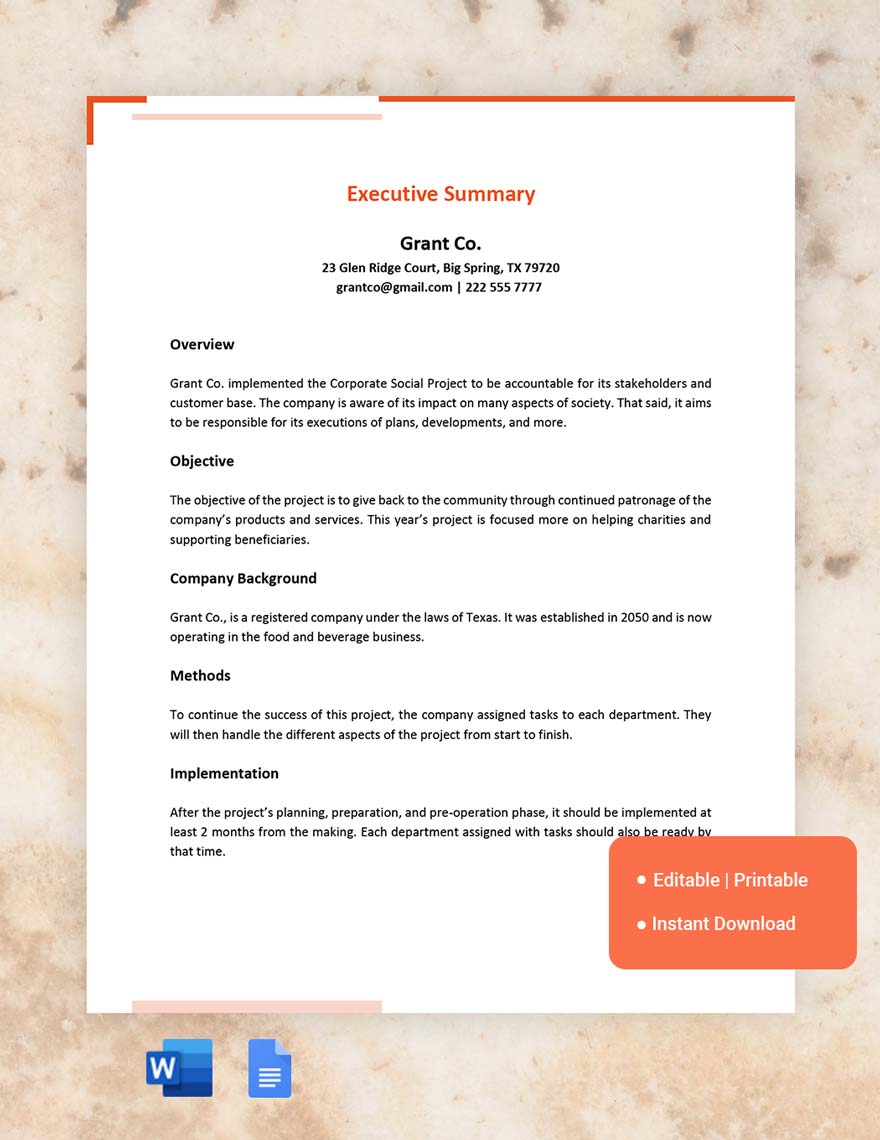 FREE Executive Summary Google Docs Template Download Template