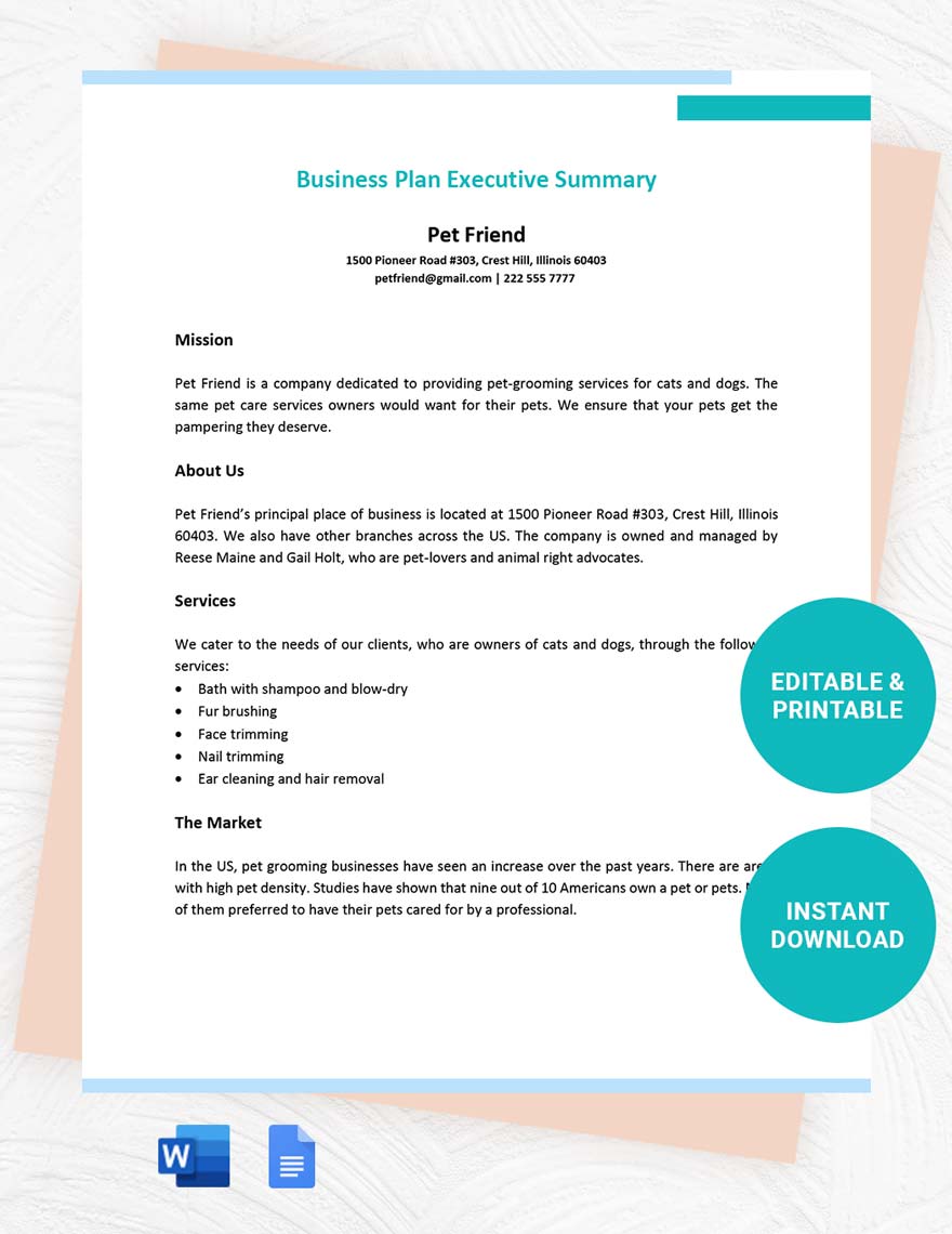 Business Plan Executive Summary Template Google Docs Word Template