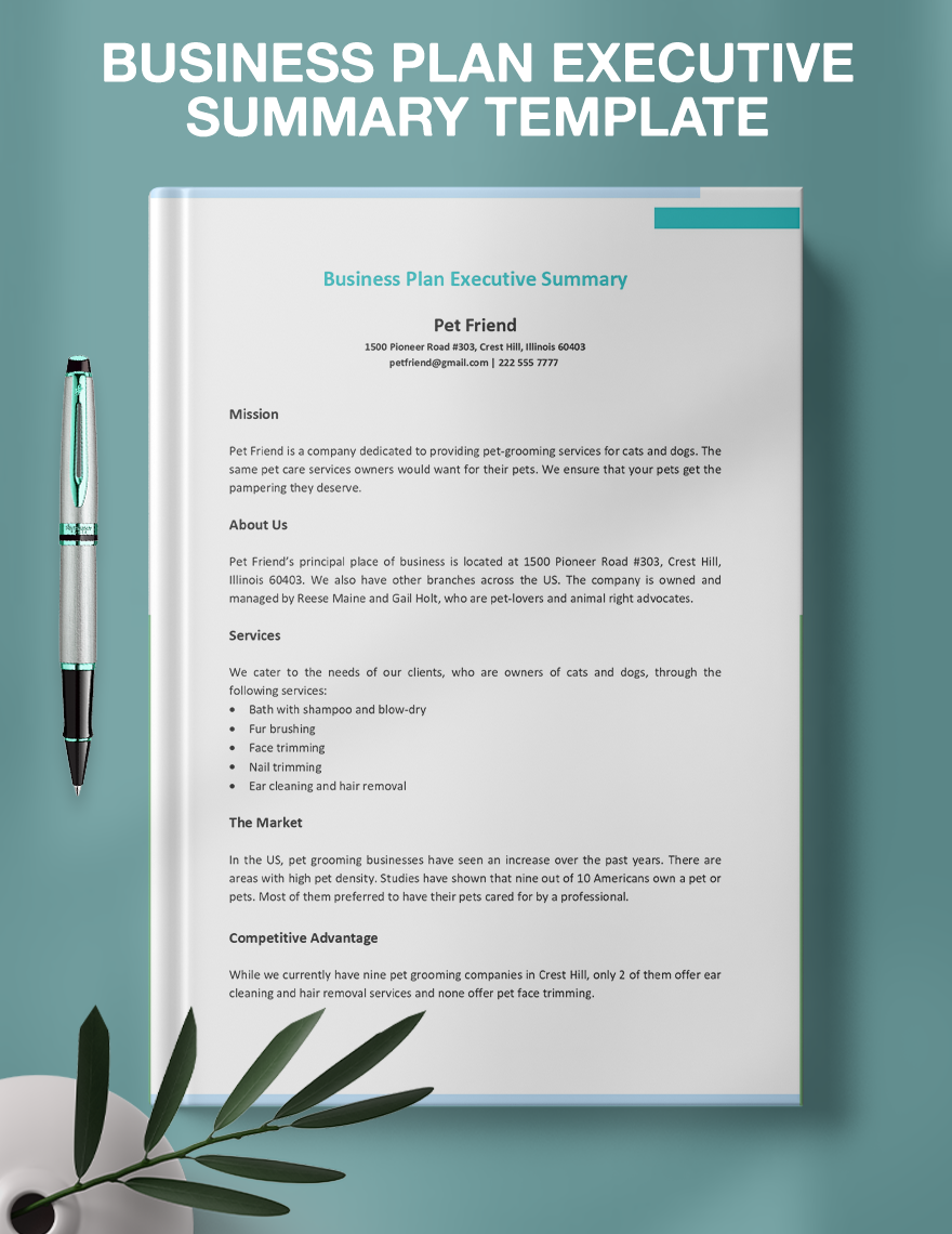 Business Plan Executive Summary Template Google Docs Word Template
