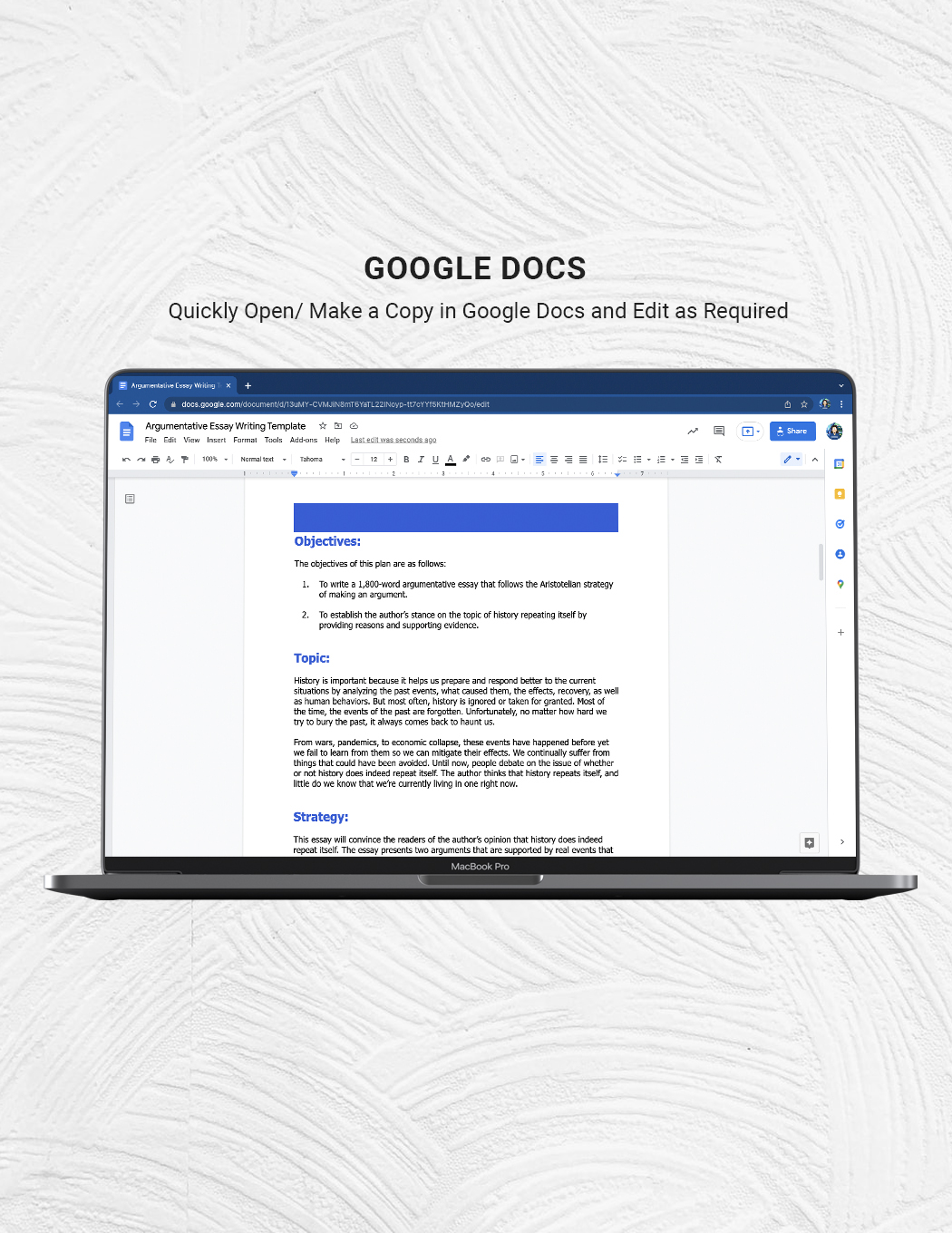 Argumentative Essay Writing Template Download In Word Google Docs 