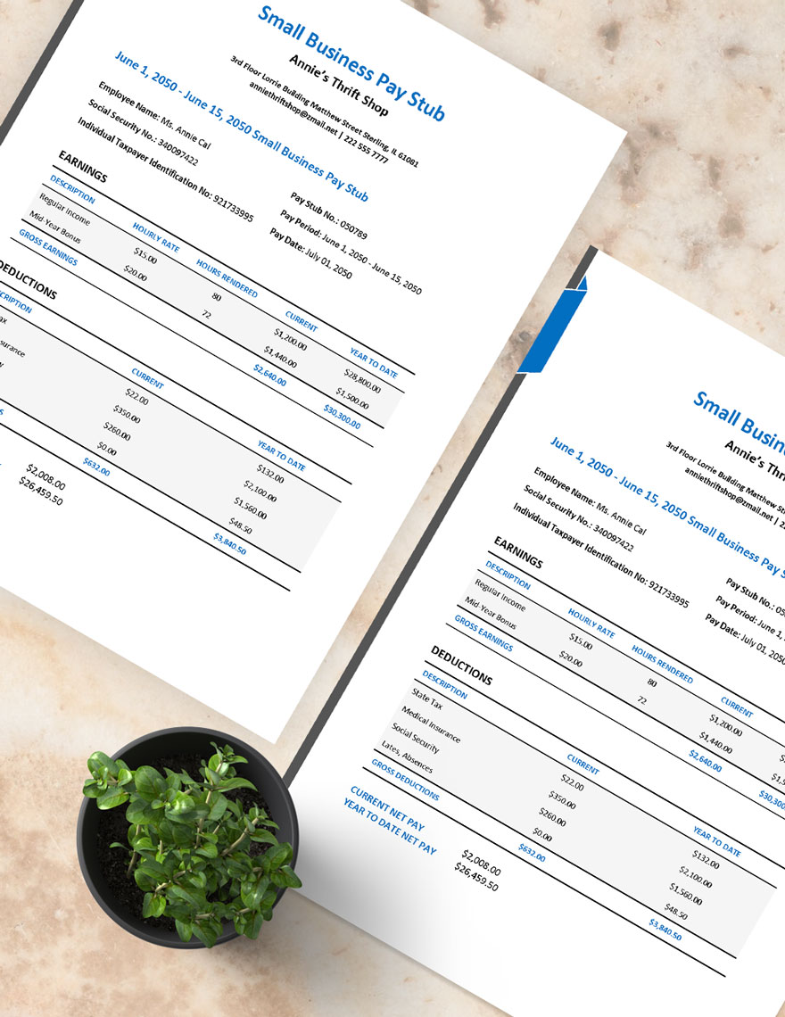 Small Business Pay Stub Template Google Docs Word Template