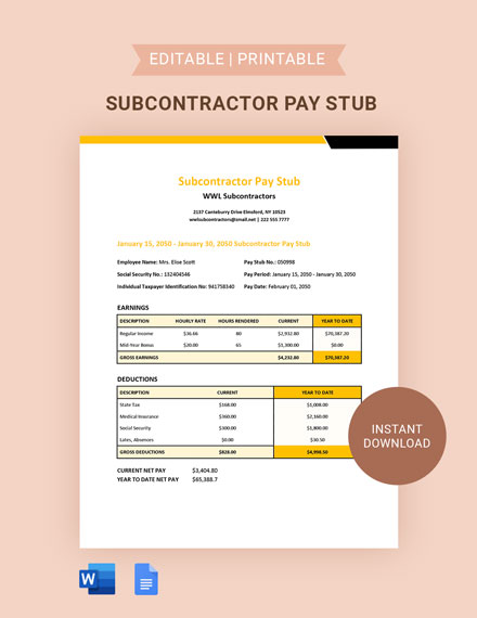 Blank Pay Stub Template - Google Docs, Word | Template.net