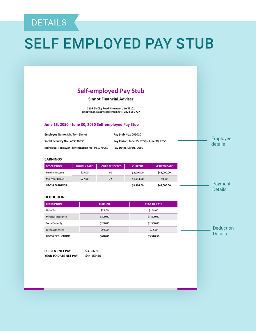 Self Employed Pay Stub Template Download In Word Google Docs Apple 