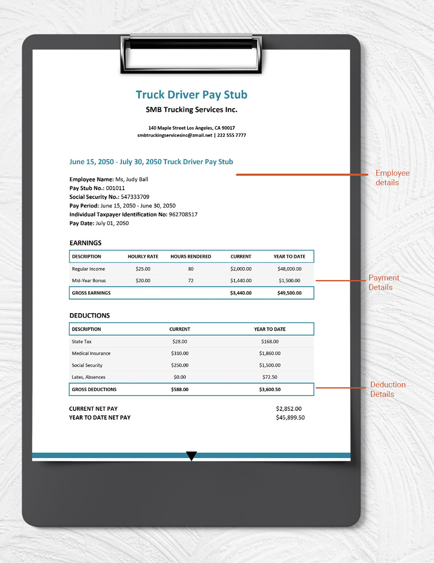 Truck Driver Pay Stub Template