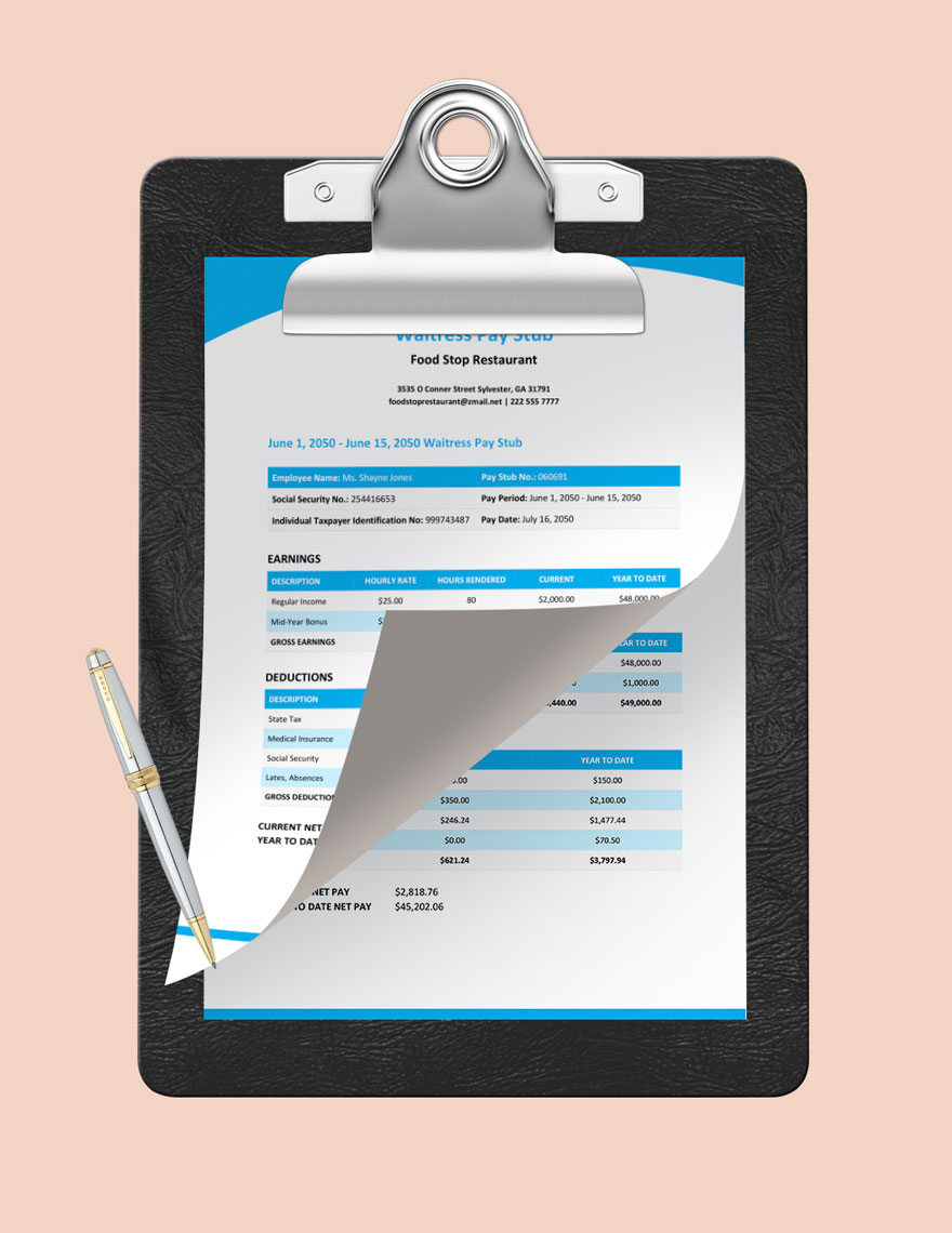 Waitress Pay Stub Template Download In Word Google Docs Apple Pages 