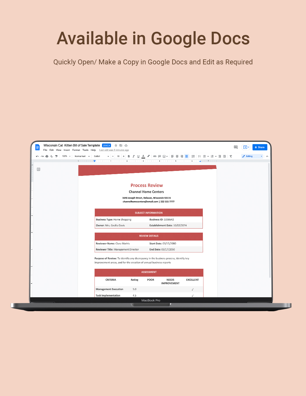 IT Six Sigma Process Review Template - Download in Word, Google Docs ...