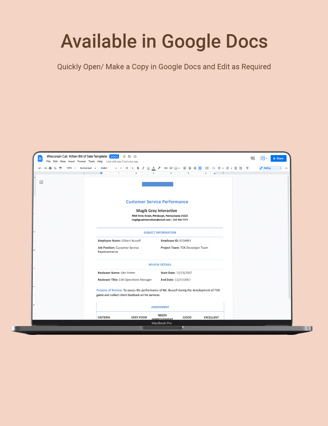 Customer Service Performance Review Template Google Docs Word Template