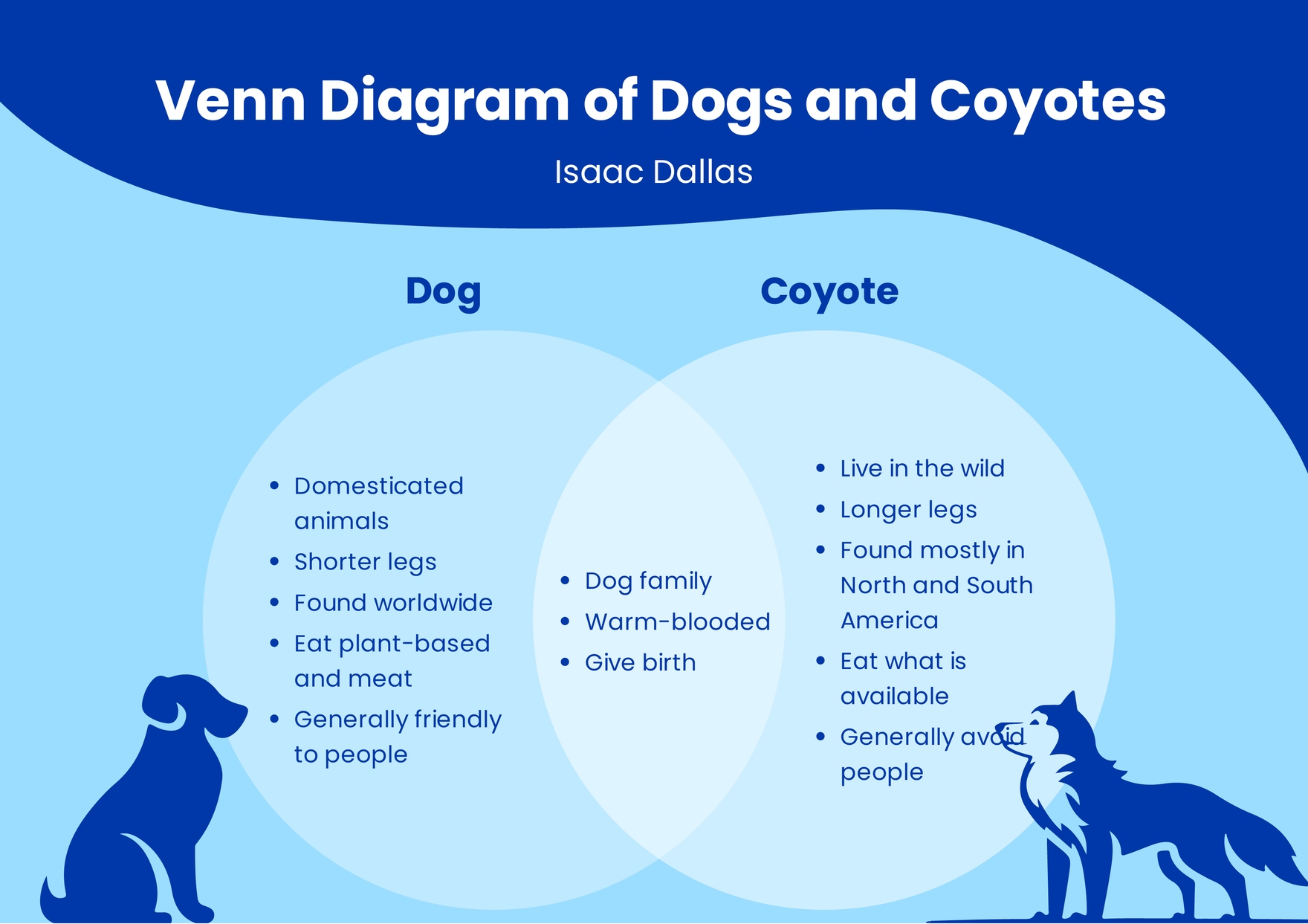 Free Venn Diagram Graphic Organizer Template Download In Word Google 
