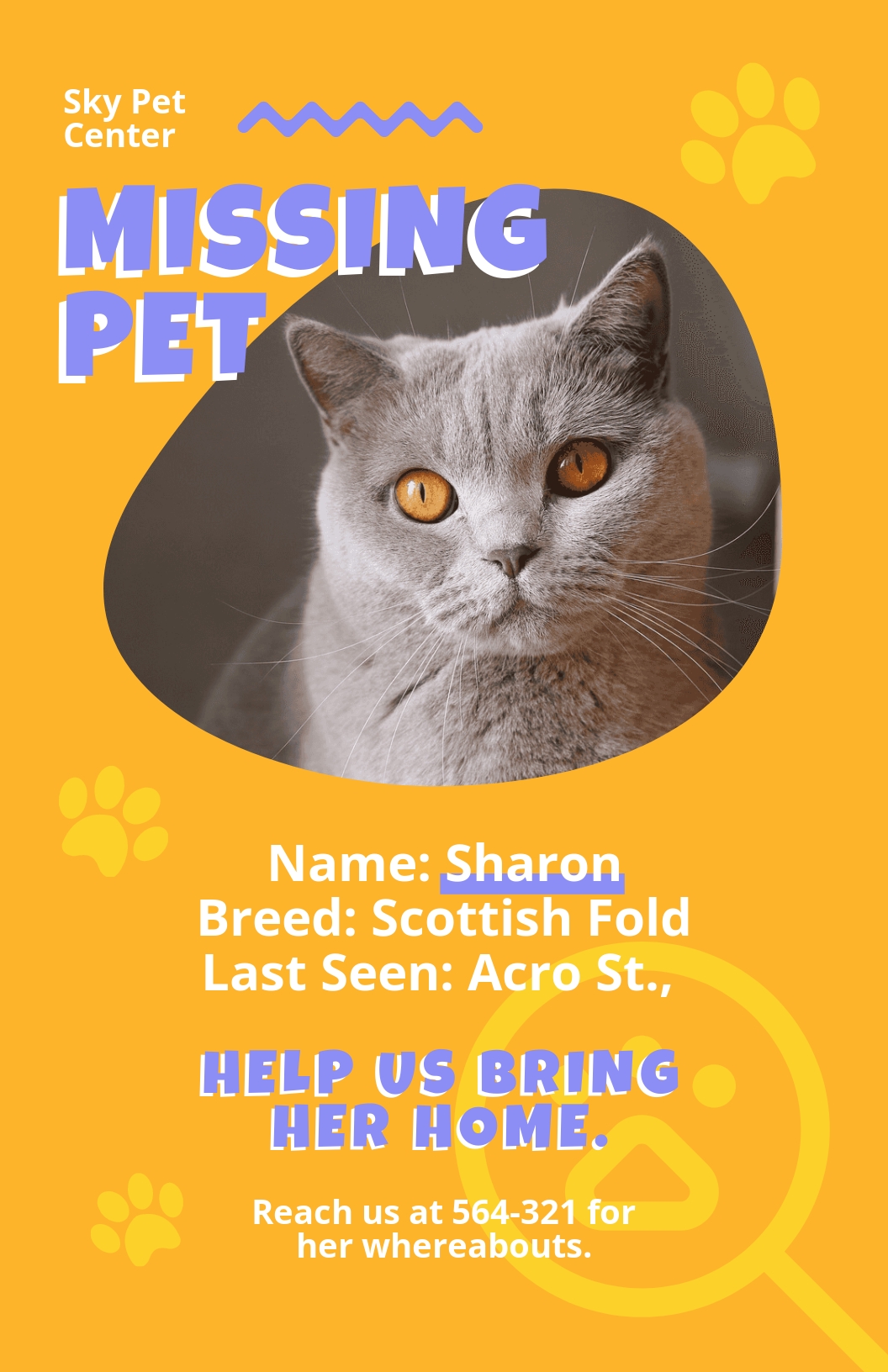 Free Missing Pet Poster Template Template