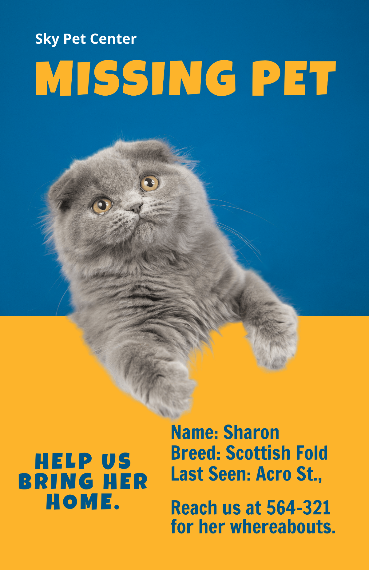 Free Missing Pet Poster Template Edit Online Download Template