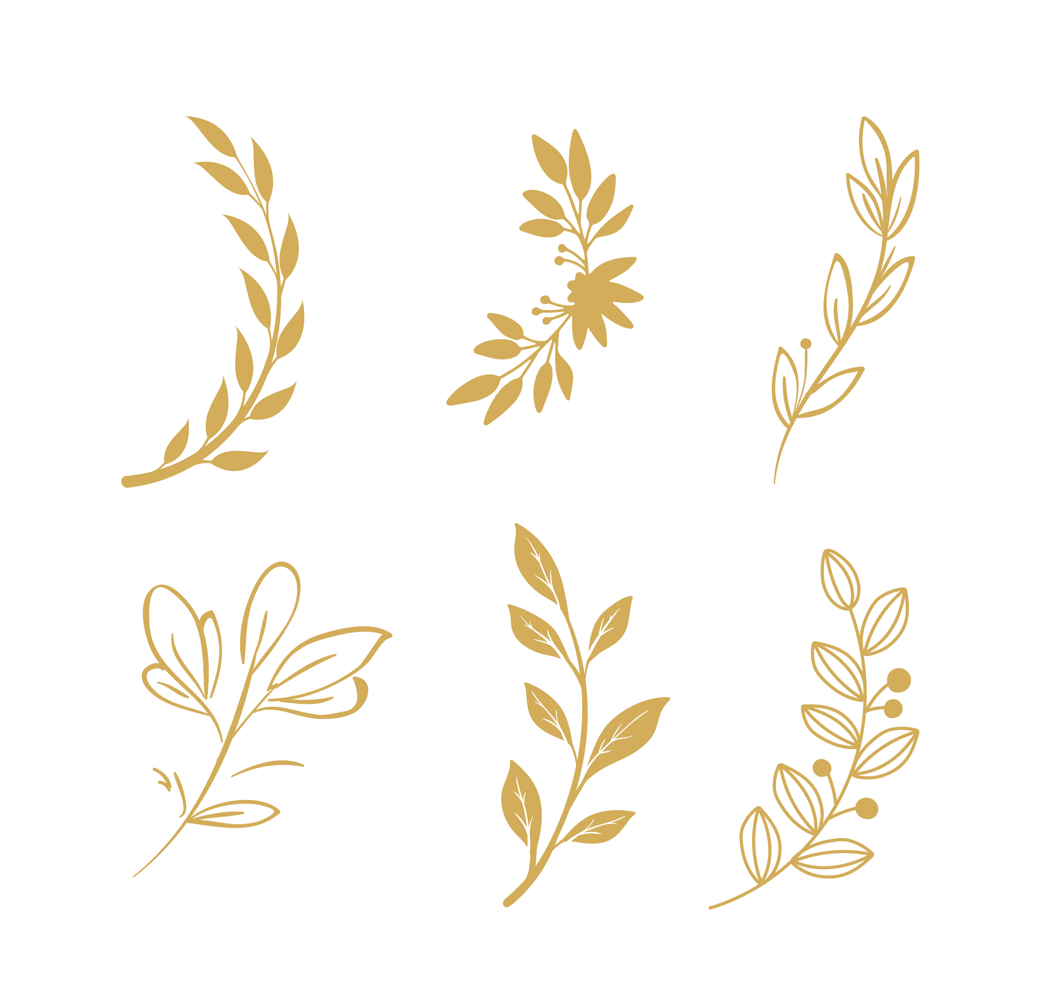 Free Wedding Leaves Clipart - EPS, Illustrator, JPG, PNG, SVG ...