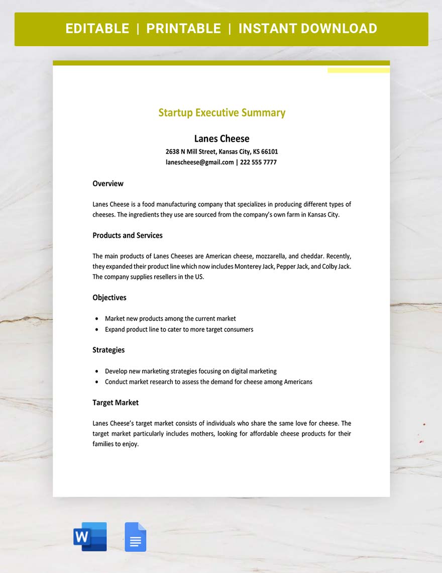 Startup Executive Summary Template Download In Word Google Docs 