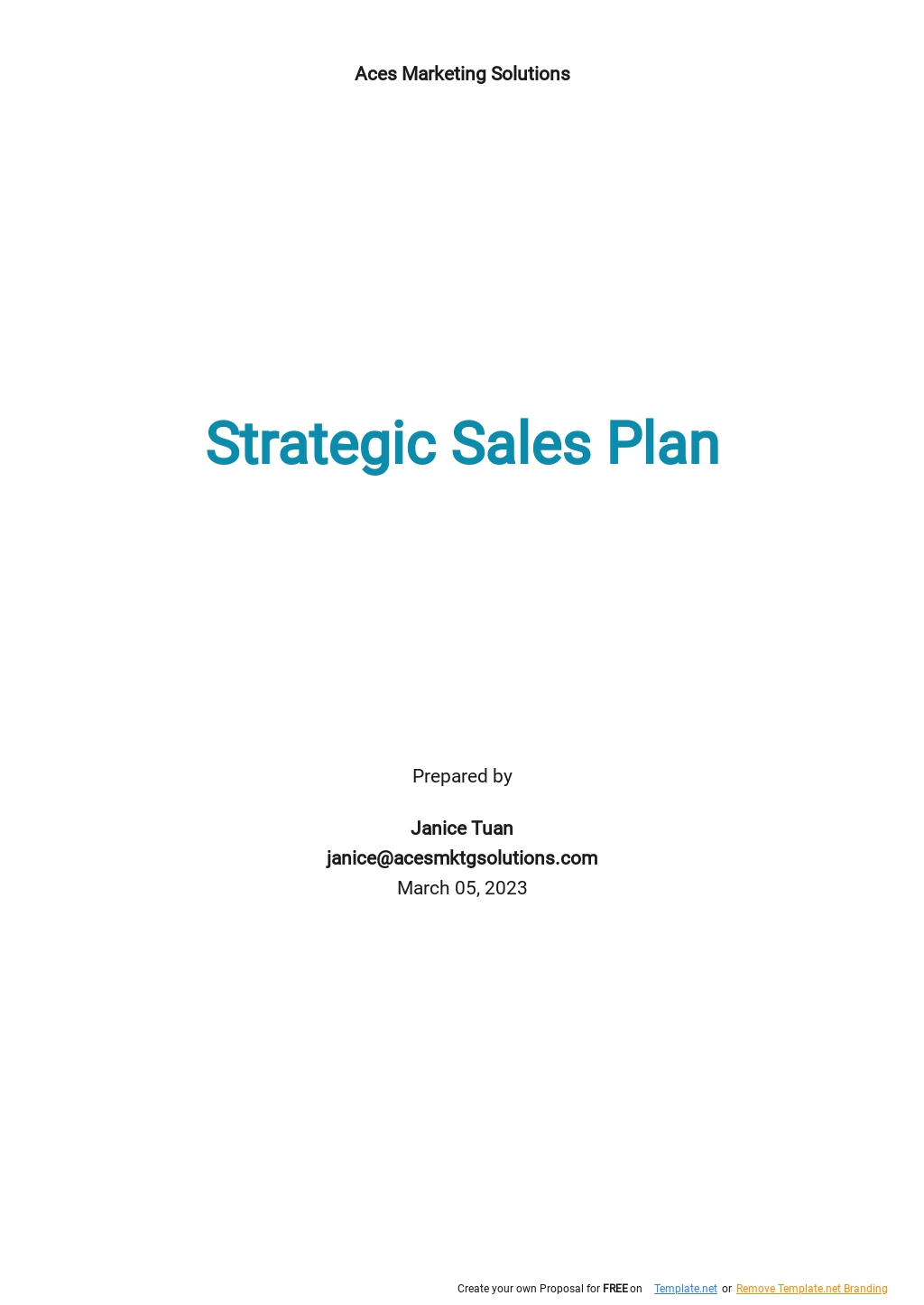 Hospital Strategic Plan Template Google Docs Word Apple Pages PDF 