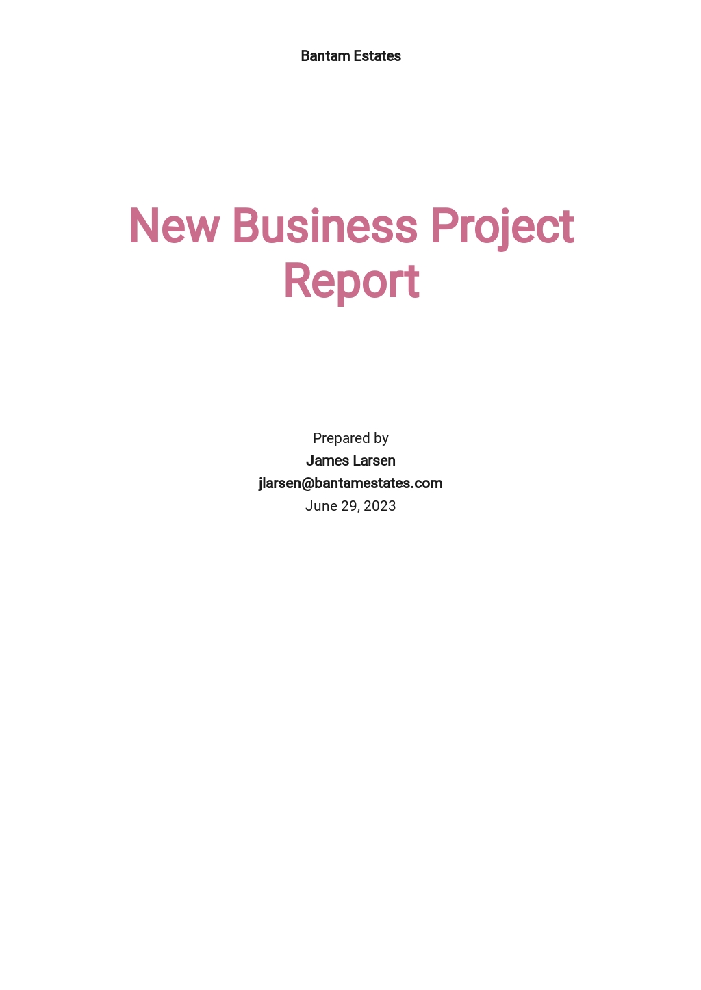 FREE Project Report Templates In Microsoft Word DOC Template